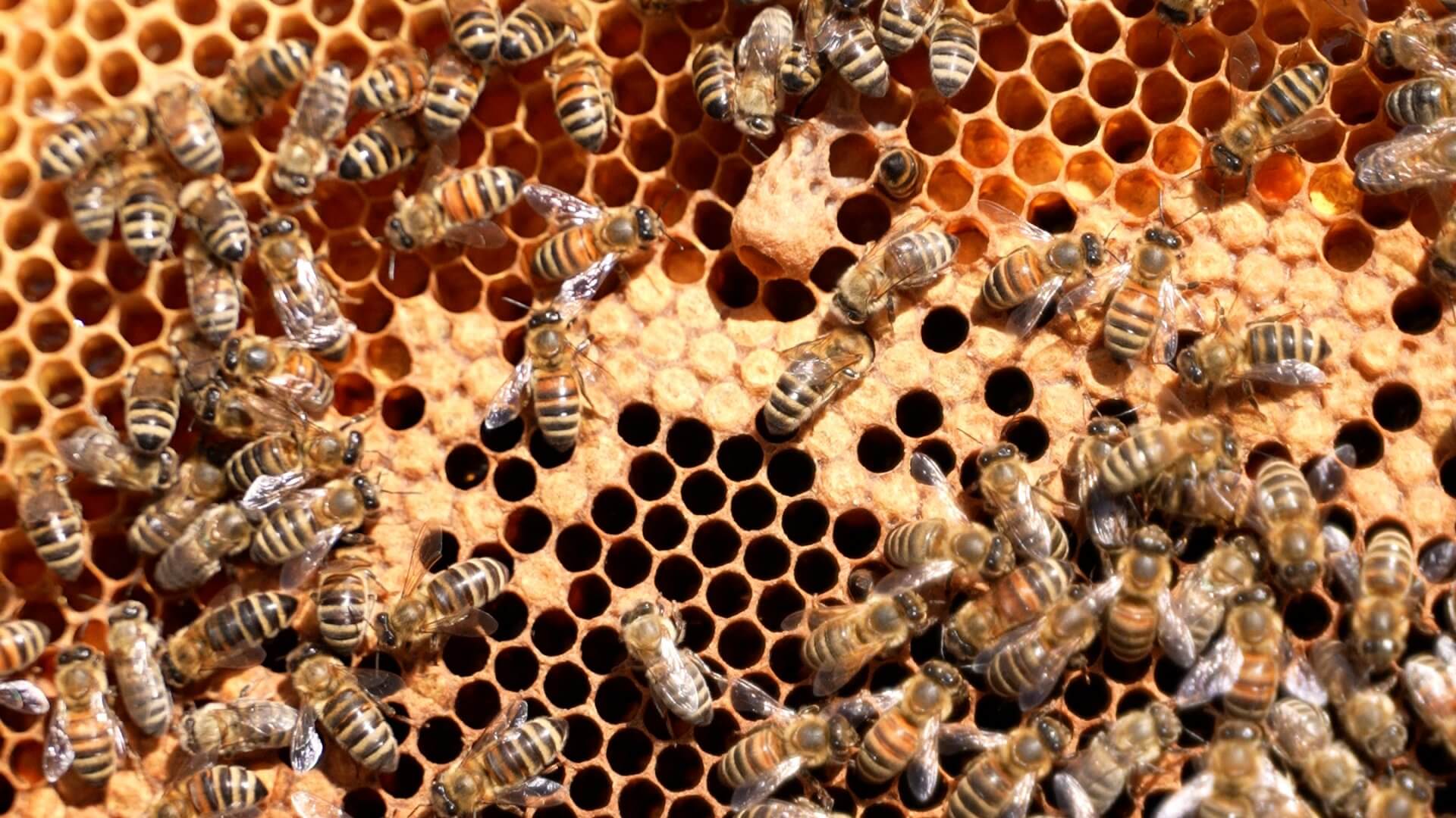 Početna strana | Docloop